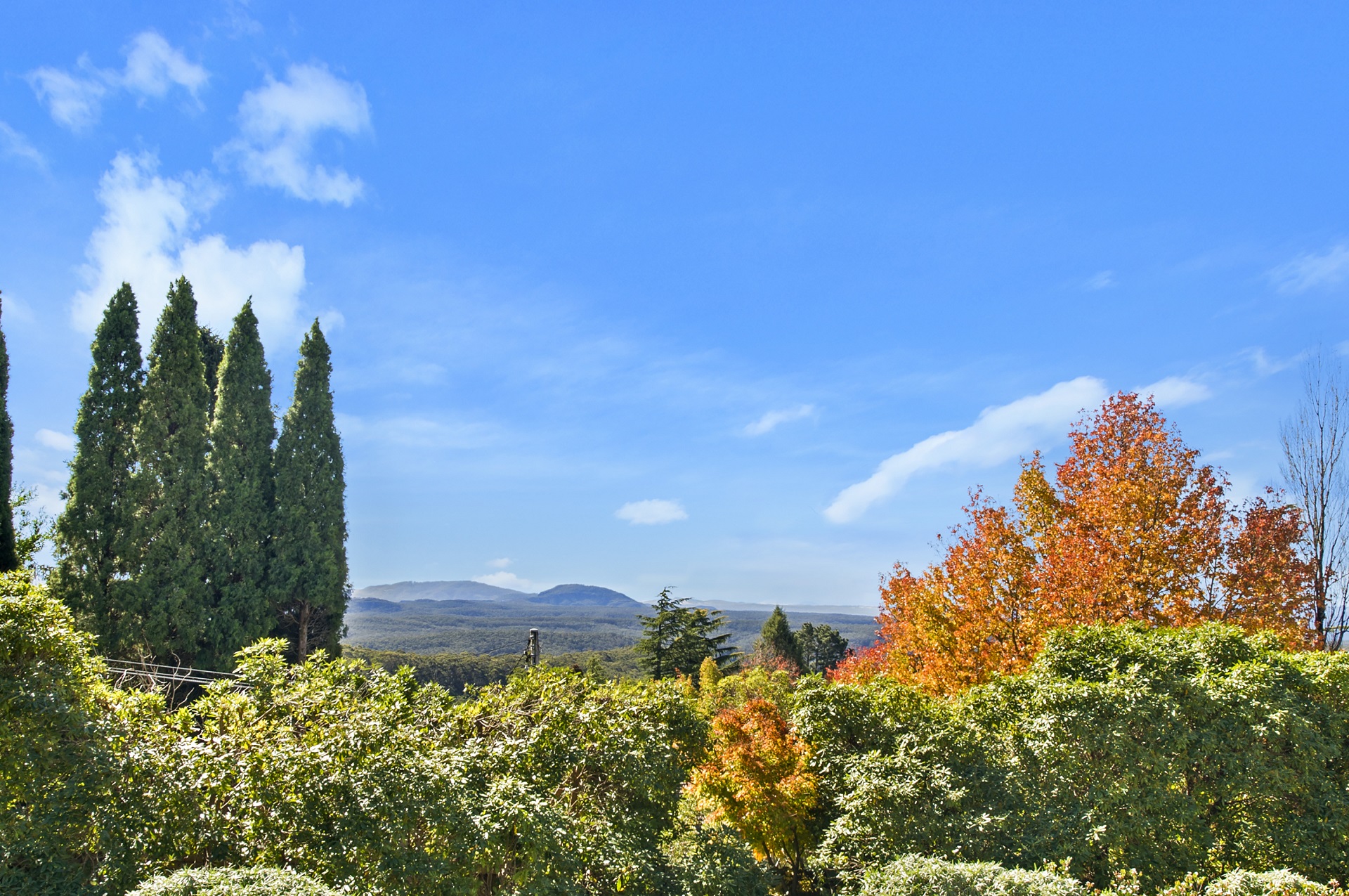 Our Gardens – Silvermere